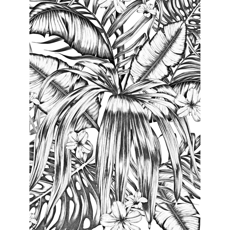 Charlotte Jade Botanical Colouring Page