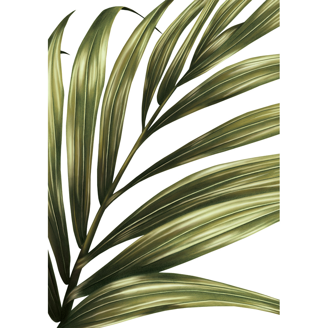 Charlotte Jade, Luxury Hand Drawn Kentia Palm Art Print