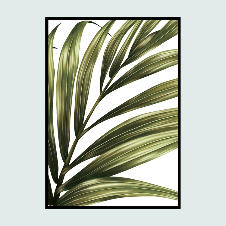 Charlotte Jade, Luxury Hand Drawn Kentia Palm Art Print