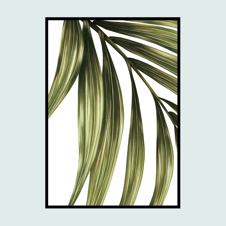 Charlotte Jade, Luxury Hand Drawn Kentia Palm Art Print