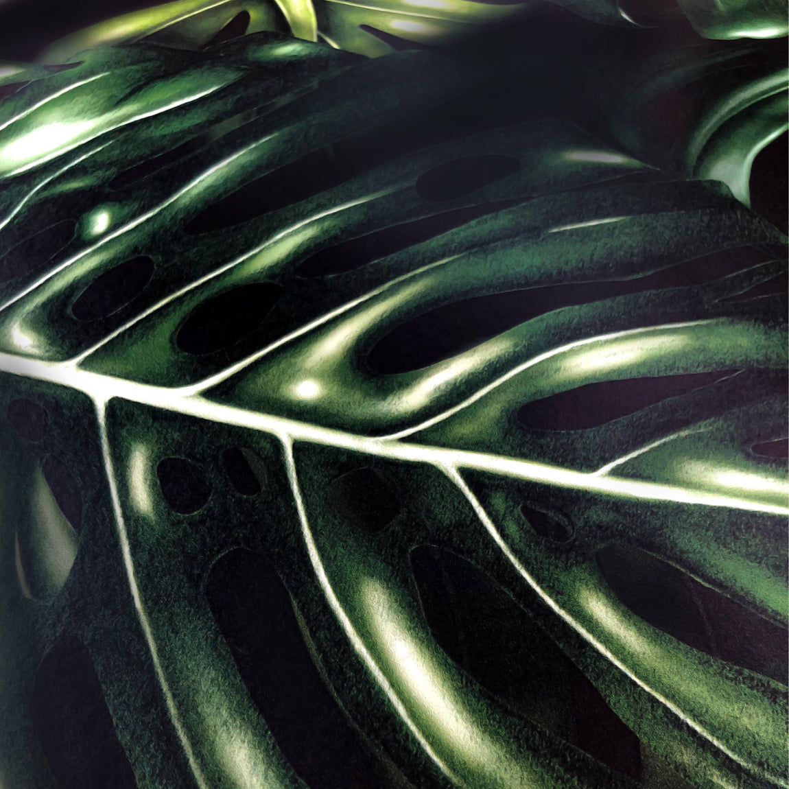 Charlotte Jade Luxury, Hand Drawn Monstera Deliciosa Wallpaper