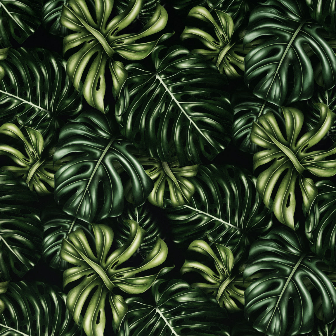Charlotte Jade Luxury, Hand Drawn Monstera Deliciosa Wallpaper