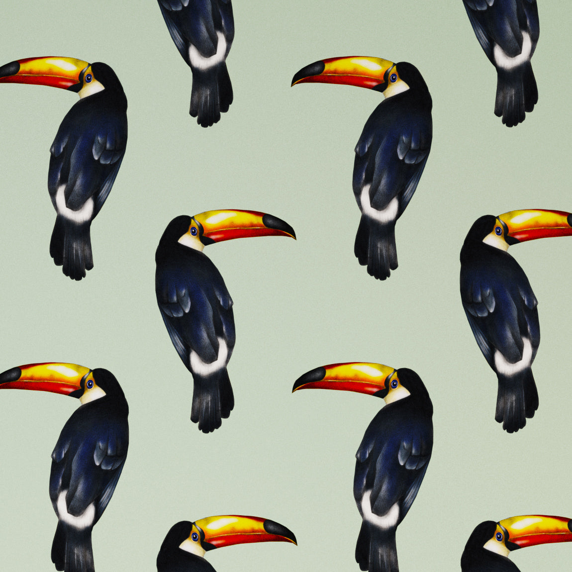 Charlotte Jade Luxury, Hand Drawn, Bespoke Toco Loco Wallpaper